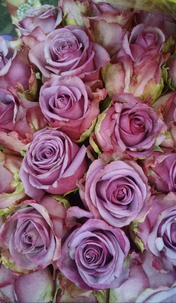 Roses! Roses! Roses! - Adhesive Vinyl Wrap – 3D Undercover