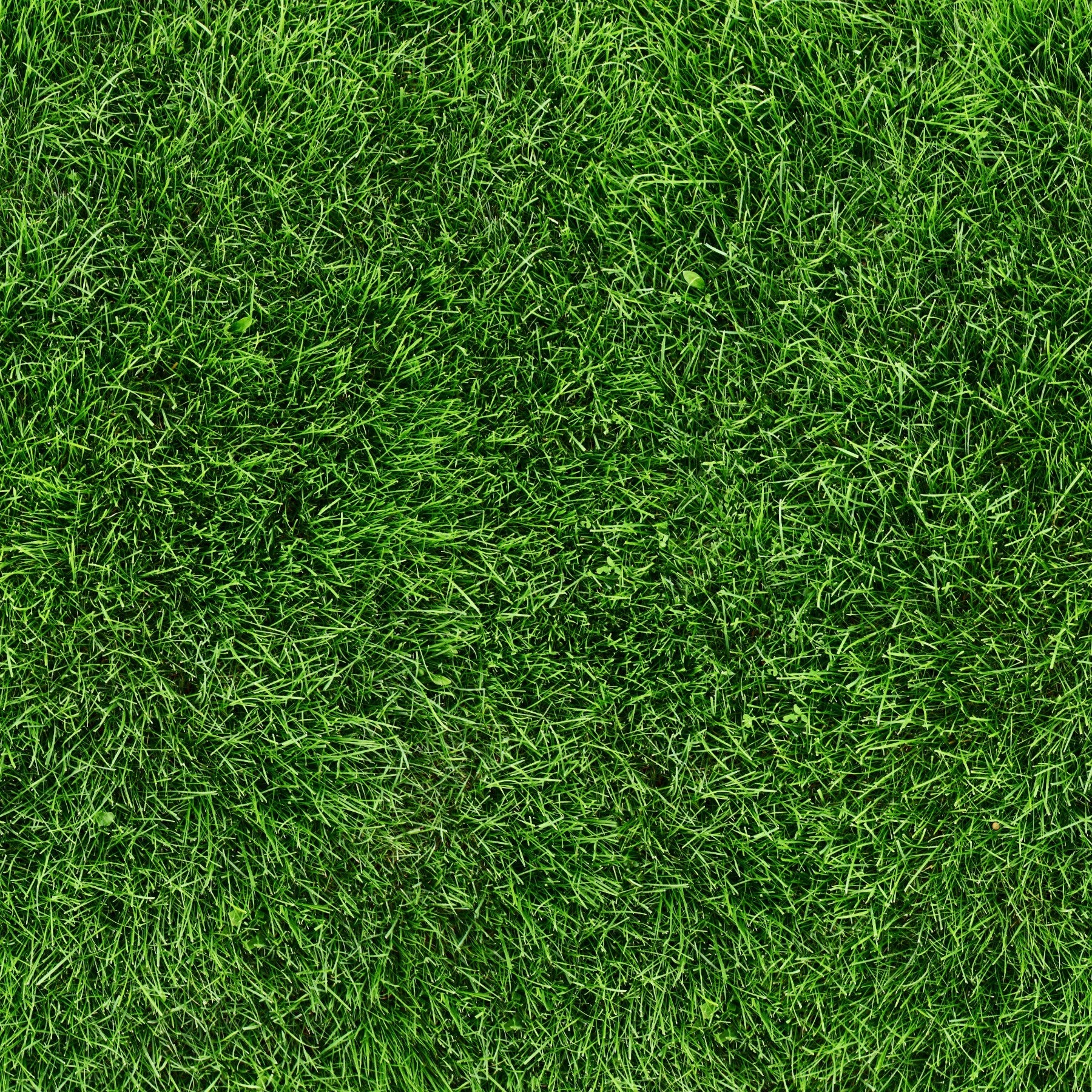 Grass - Adhesive Vinyl Sheets – 3D Undercover